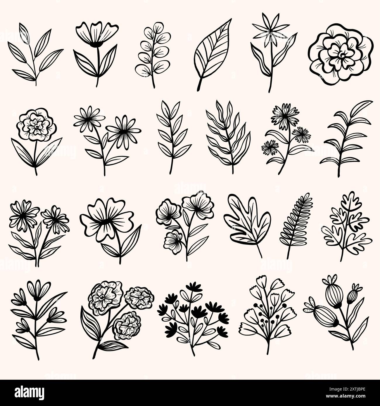 Spring flowers and foliage line art elements set. Hand drawn vector ...
