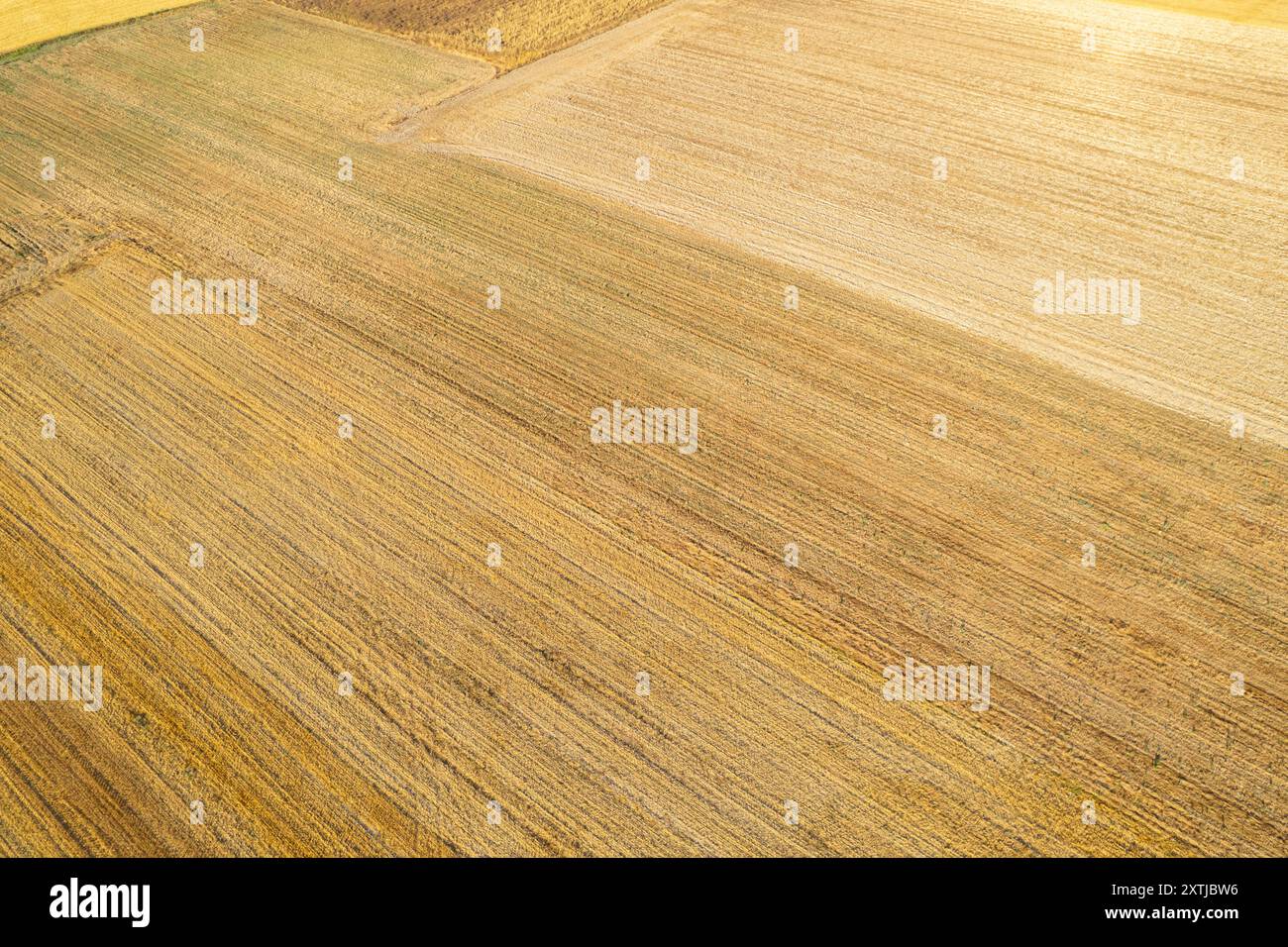 Aerial view mowed field wheat hi-res stock photography and images - Alamy