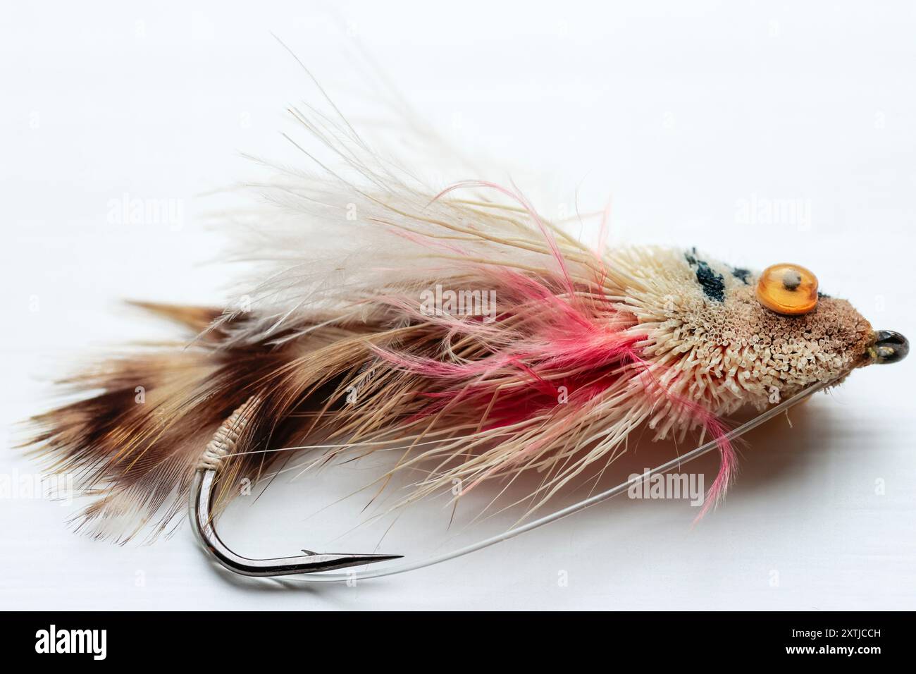 Fly fishing lure made from feathers selected cut and tied to a barbed ...