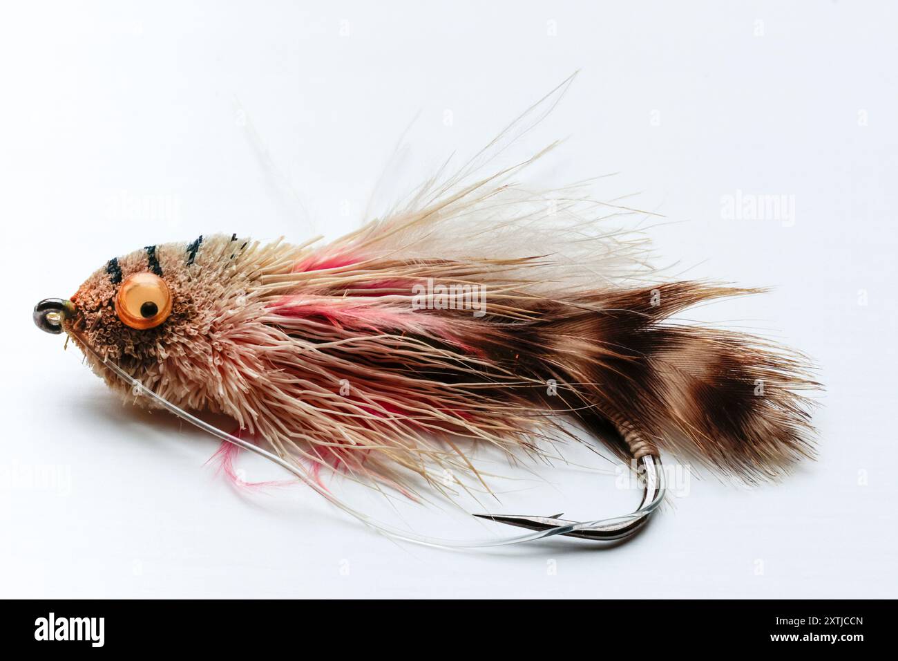 Fly fishing lure made from feathers selected cut and tied to a barbed ...