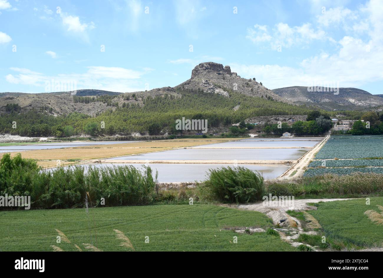 Segura river basin hi-res stock photography and images - Alamy
