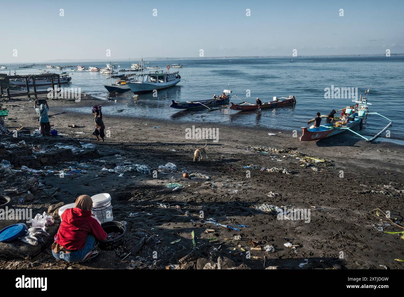 Sharks market Tanjung Luar fish market, Luar Cape, Lombok, Indonesia ...