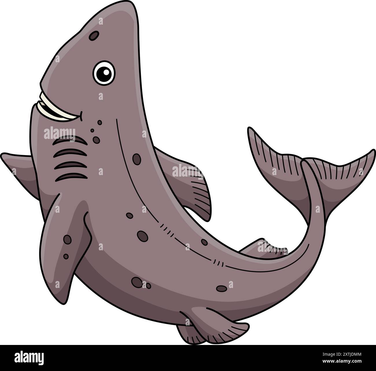 Greenland Shark Cartoon Colored Clipart Stock Vector Image & Art - Alamy