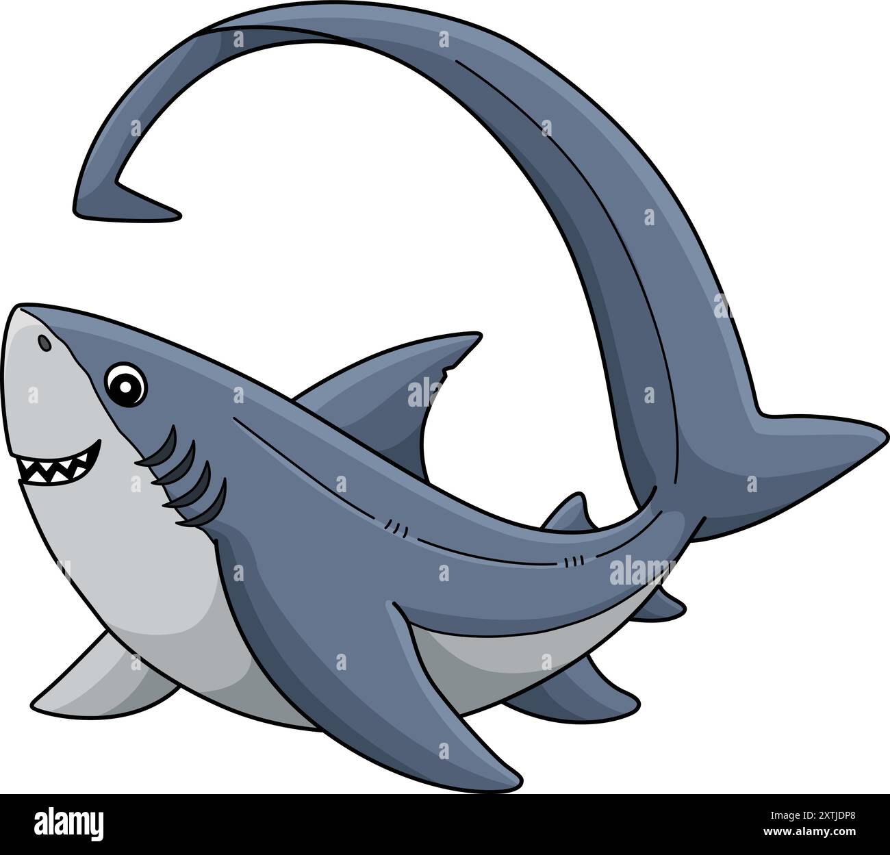 Thresher Shark Cartoon Colored Clipart Stock Vector Image & Art - Alamy