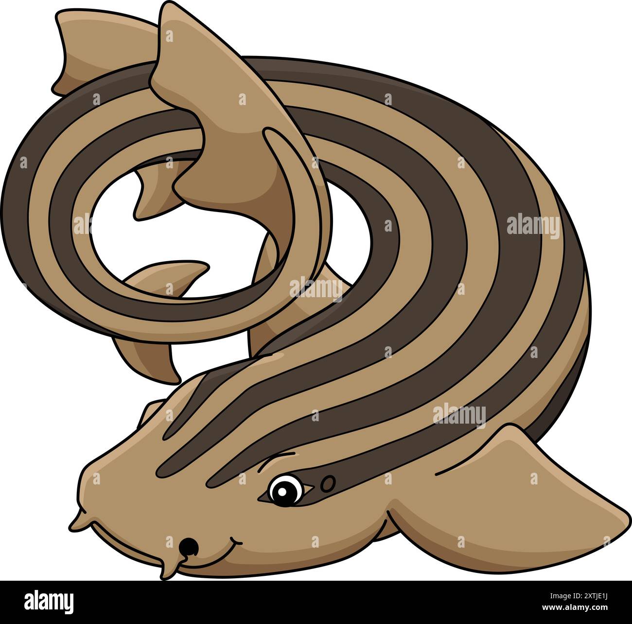 Striped shark hi-res stock photography and images - Alamy