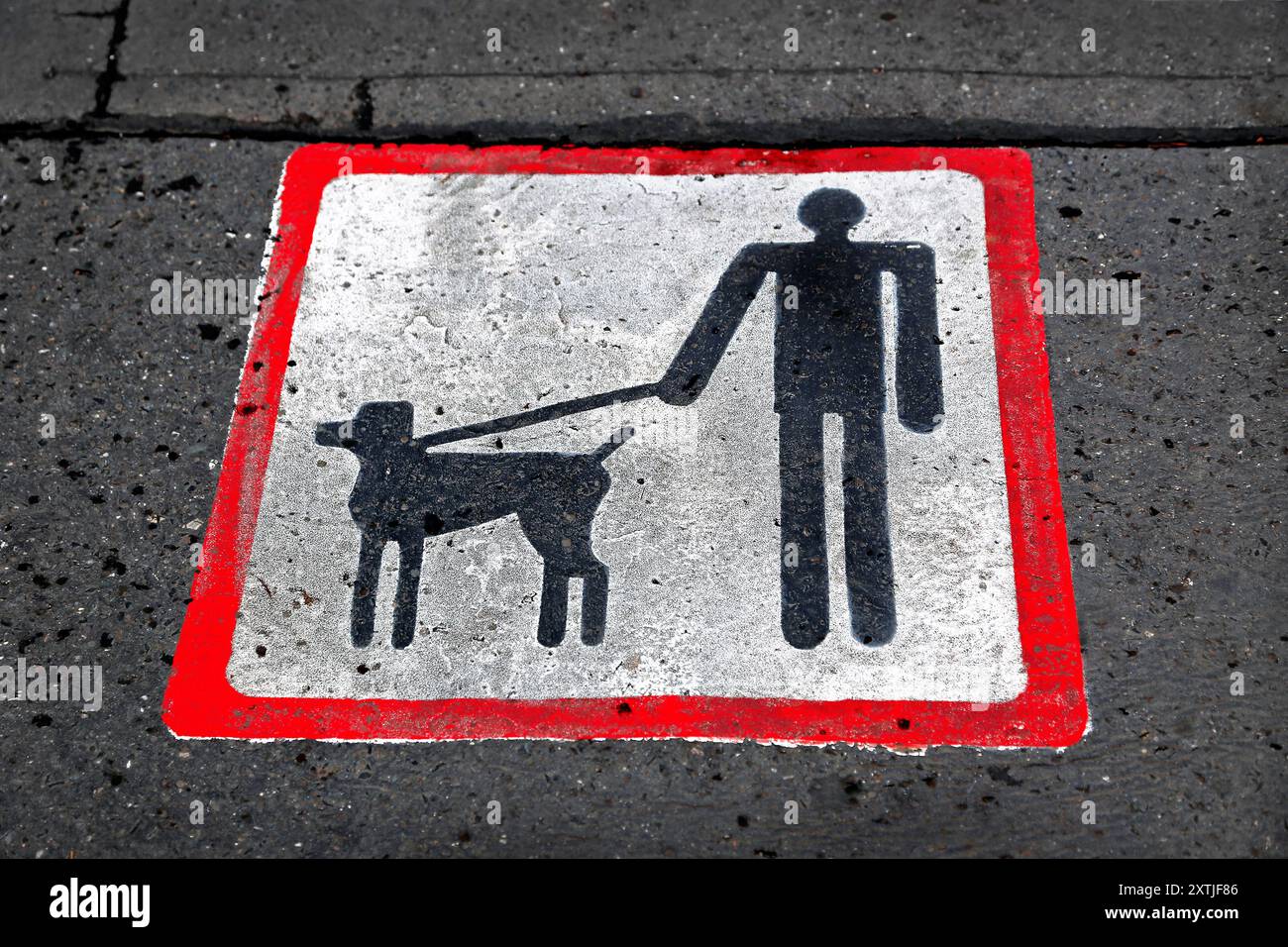 Dog walking sign on road Stock Photo - Alamy