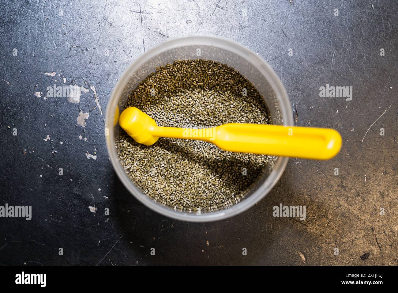 Reloading cartridges, gunpowder for a pistol in a container with a ...