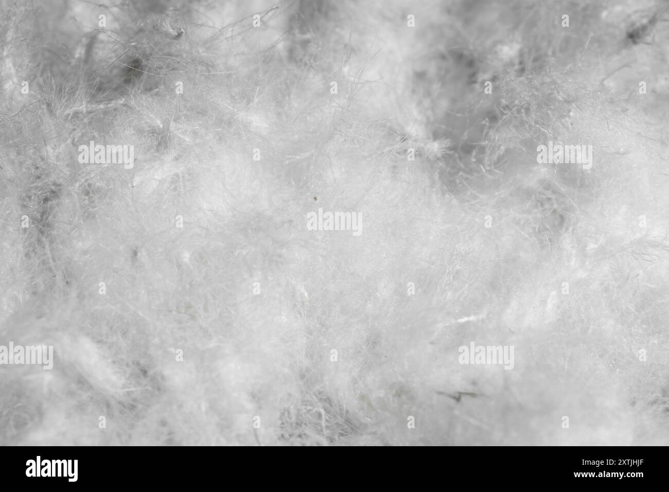 white duck down. texture or background Stock Photo - Alamy