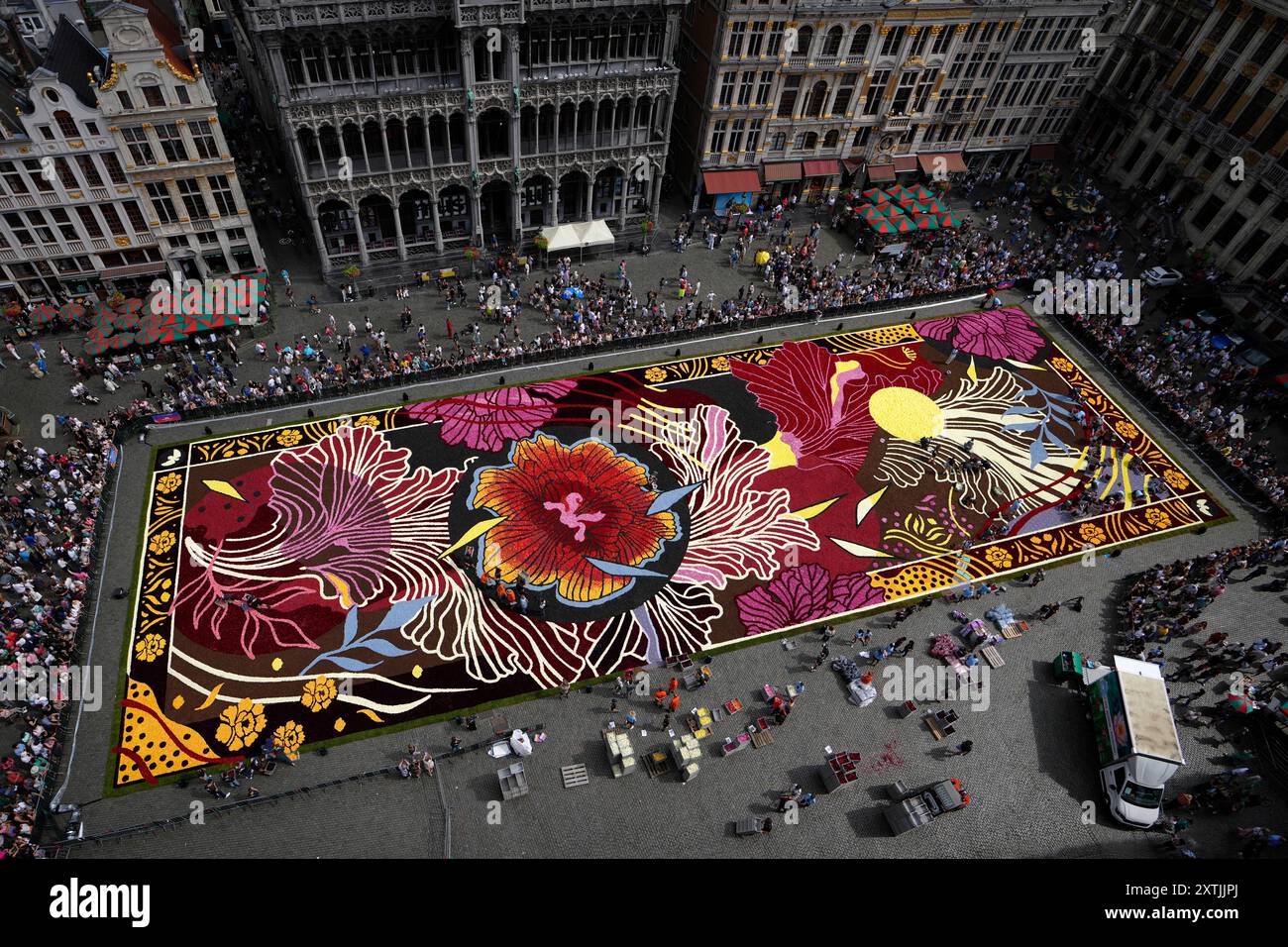 Volunteers work placing Belgian grown begonia's into a giant flower ...
