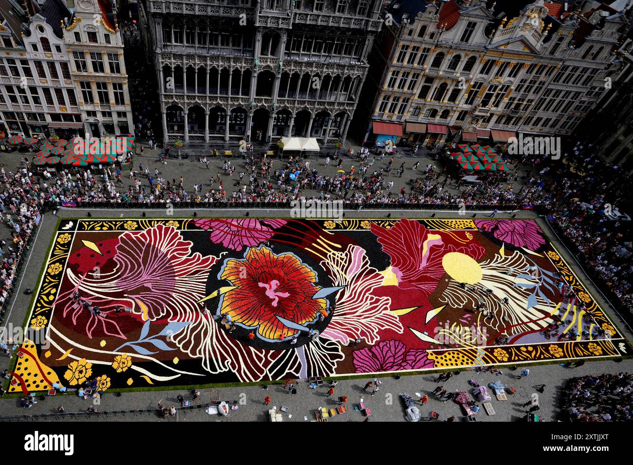 Volunteers work placing Belgian grown begonia's into a giant flower ...