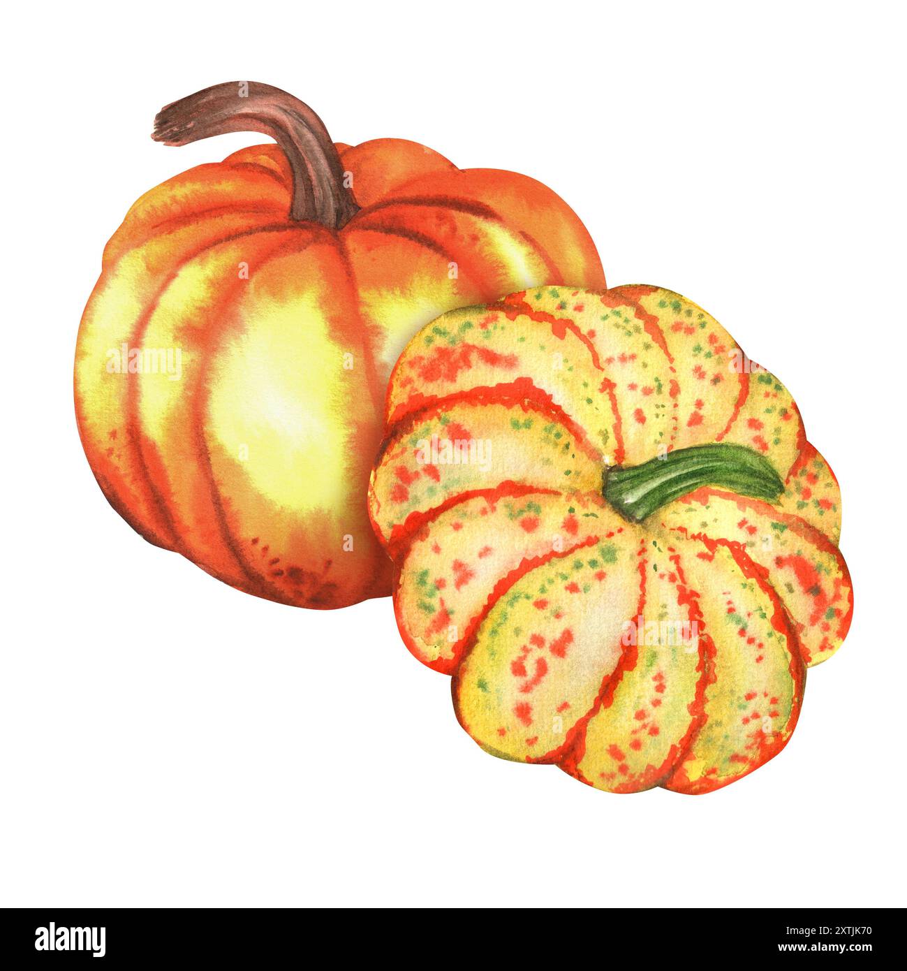 Two large fall pumpkins orange and yellow. Fall vegetable harvest ...