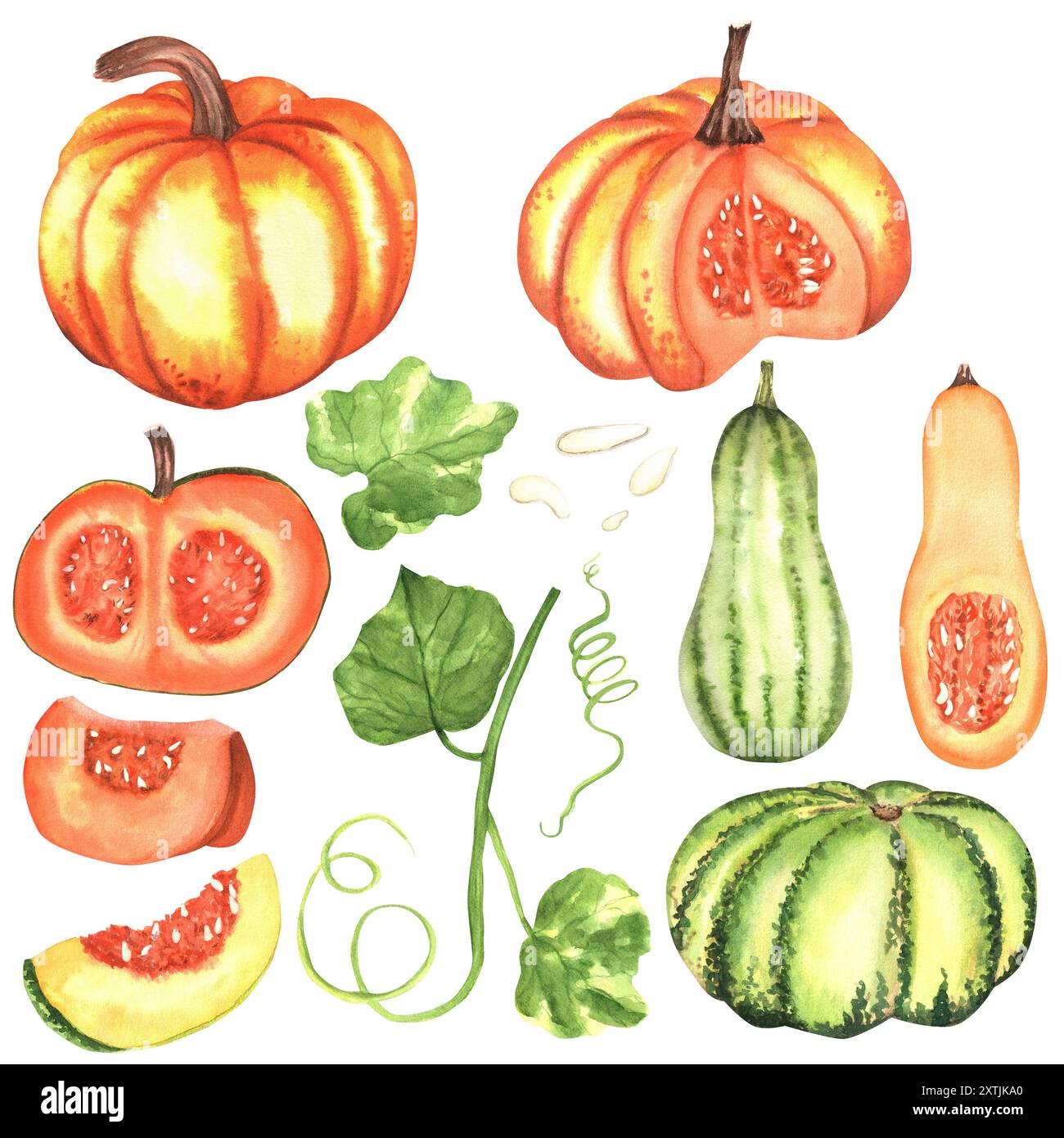 Pumpkin with leaves bundle Cut Out Stock Images & Pictures - Alamy