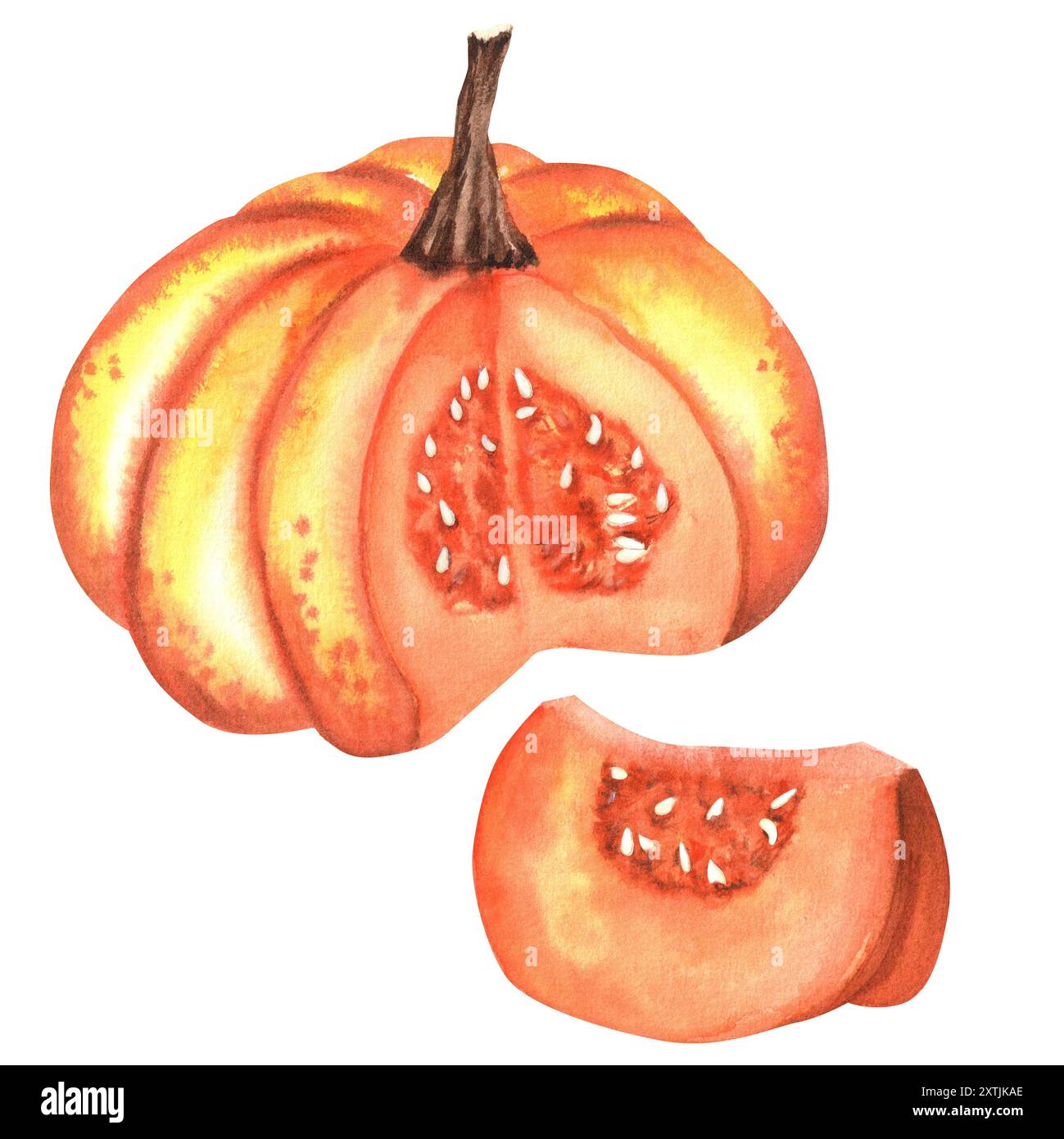 Hand drawn watercolor pumpkin hi-res stock photography and images - Alamy