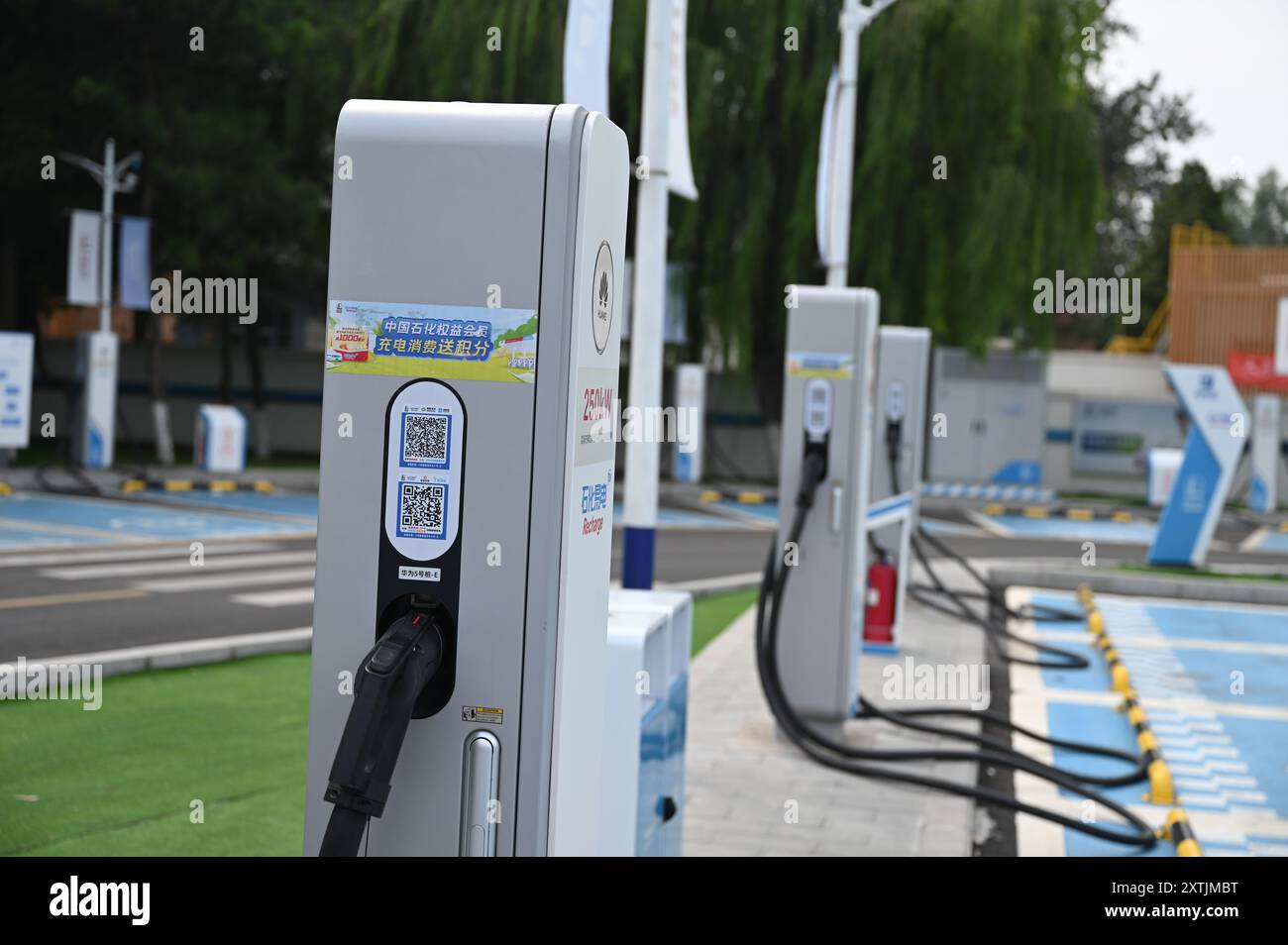 15 August 2024, China, Peking: Several charging stations for electric ...
