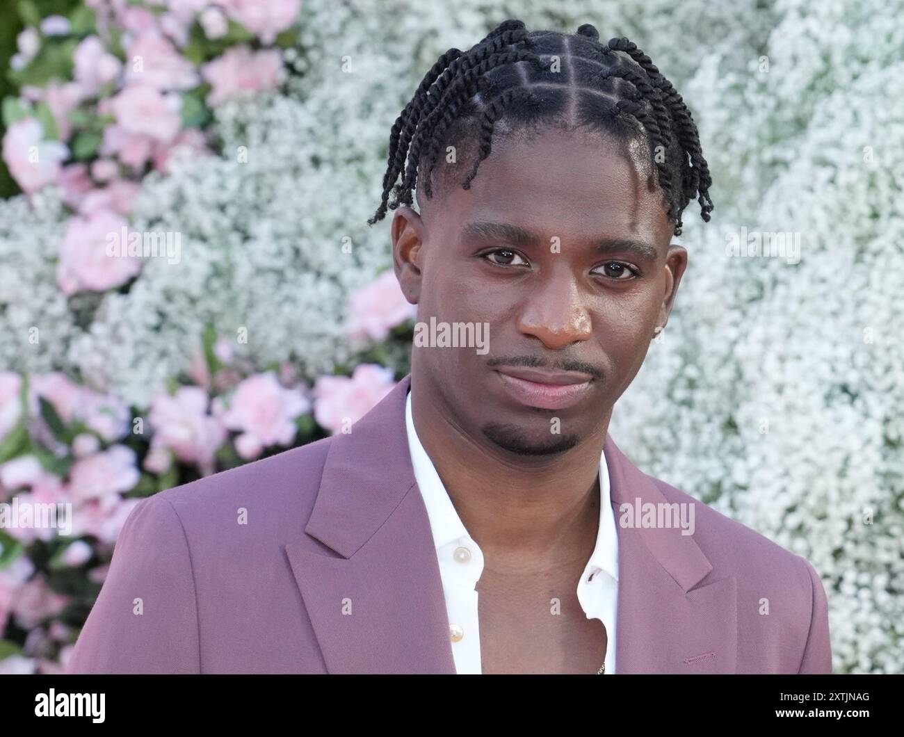 Los Angeles, USA. 14th Aug, 2024. Samuel Arnold arrives at the Netflix ...