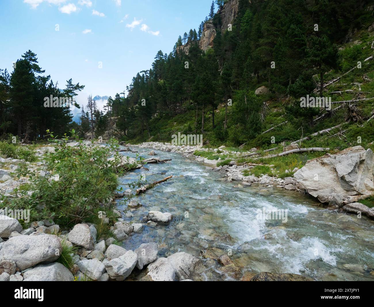 A view of a river in the Pyrenees National Park in southwest France ...