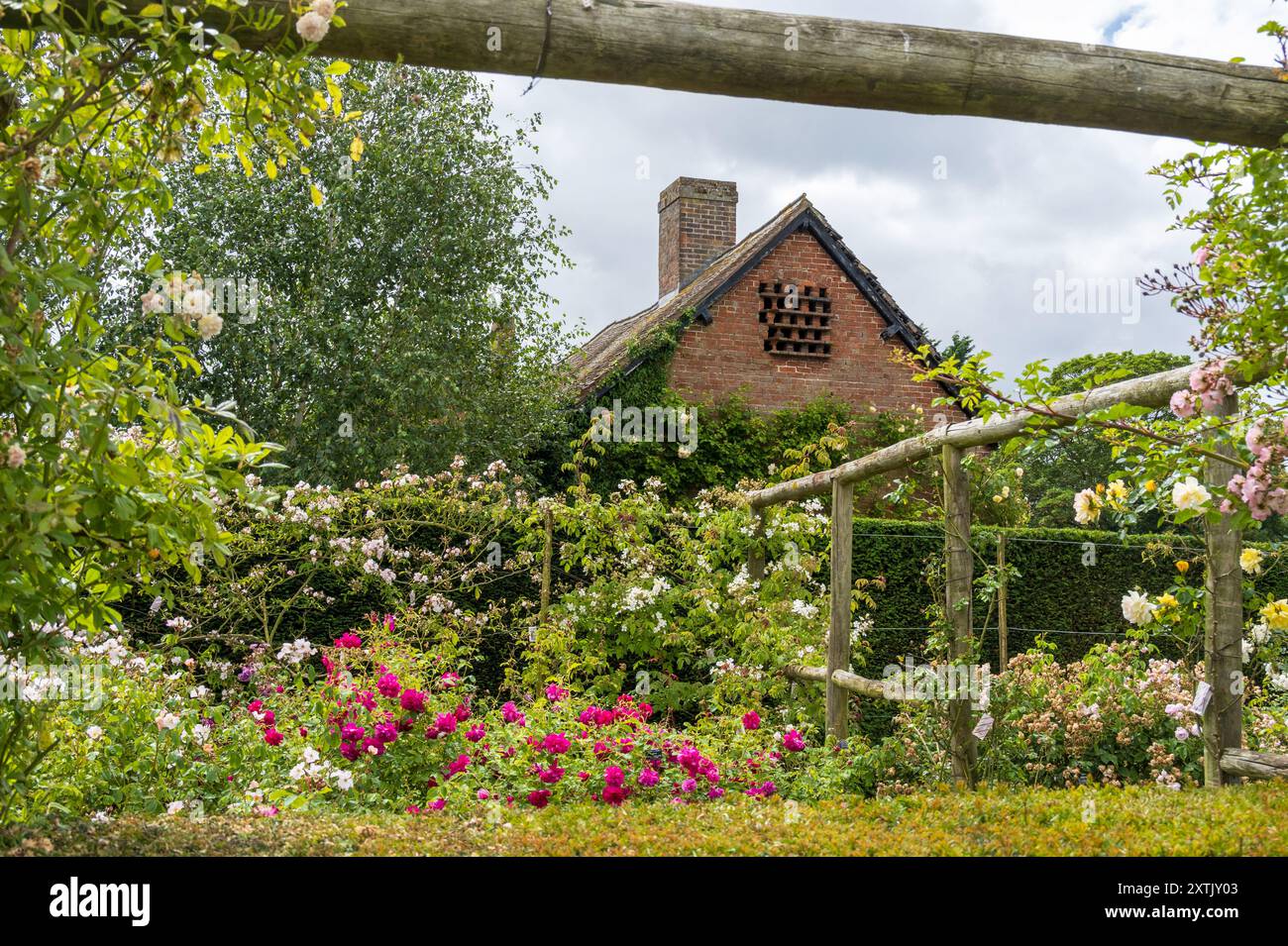 Beautiful display of colours at the David Austin English Rose Gardens ...