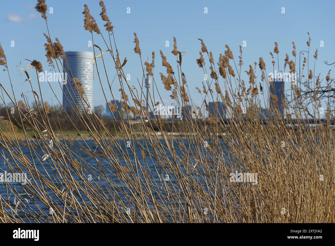 Creative perspective of the skyline of the high rise buildings in 22nd ...