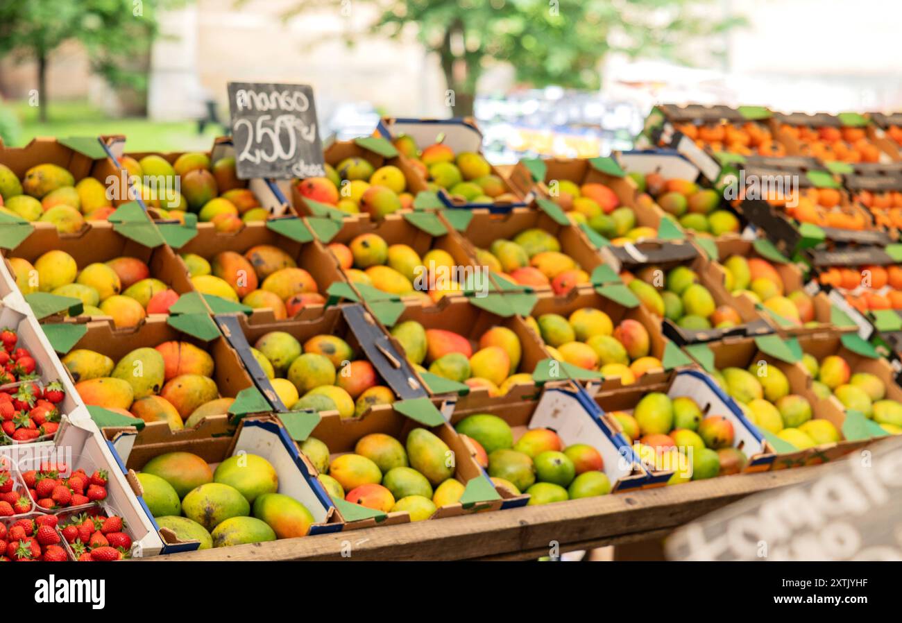 Mangos and other fruits to buy on the market. Mangos and other fruits ...
