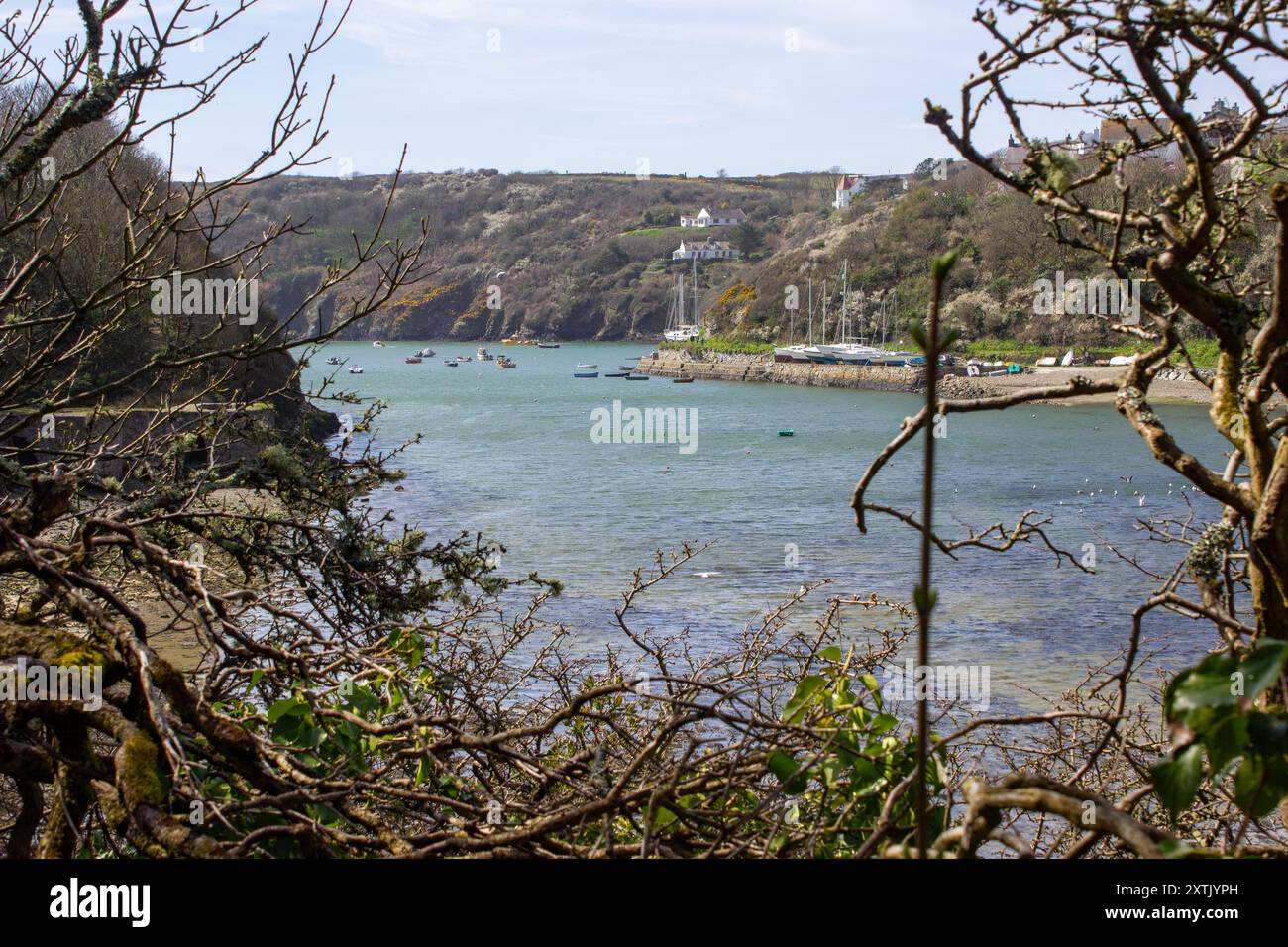 Solva Harbour, Solva village, Pembrokeshire, Wales Stock Photo - Alamy