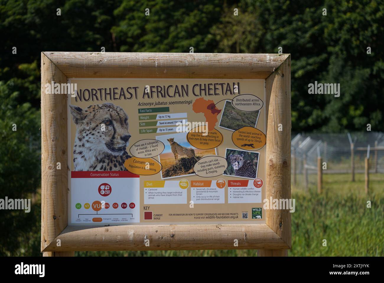 Northeast African Cheetah information board at Yorkshire Wildlife Park ...