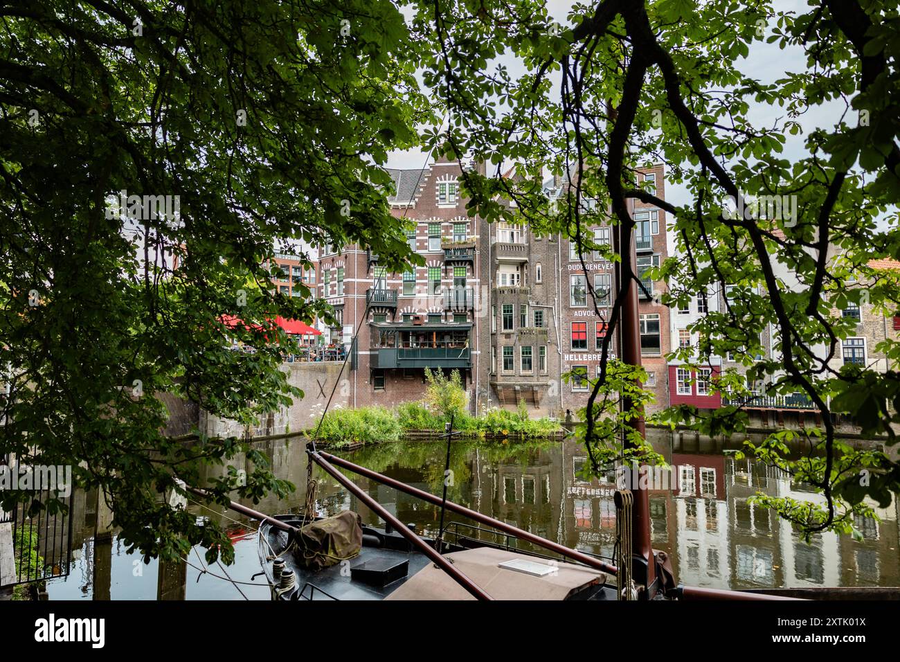 View through tree branches of the Delfshaven with its historic ...