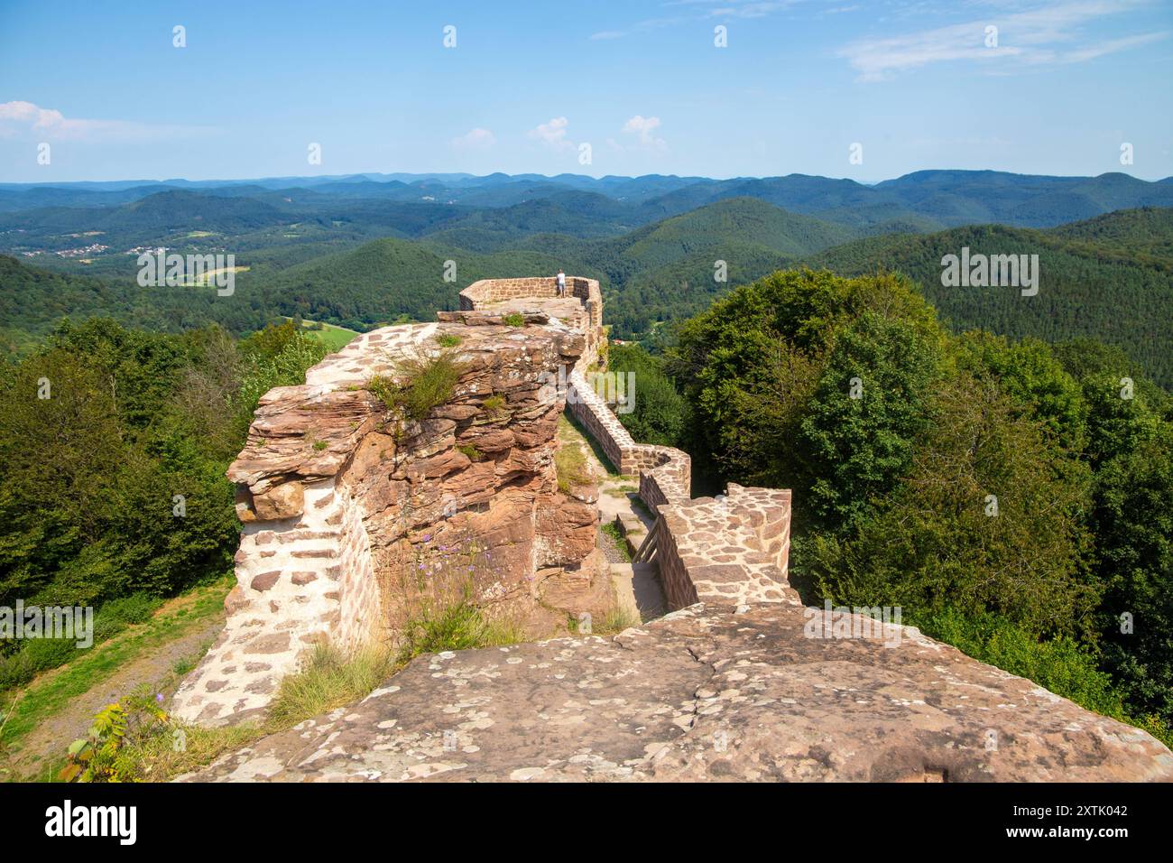 Biosphärenreservat pfälzer wald hi-res stock photography and images - Alamy