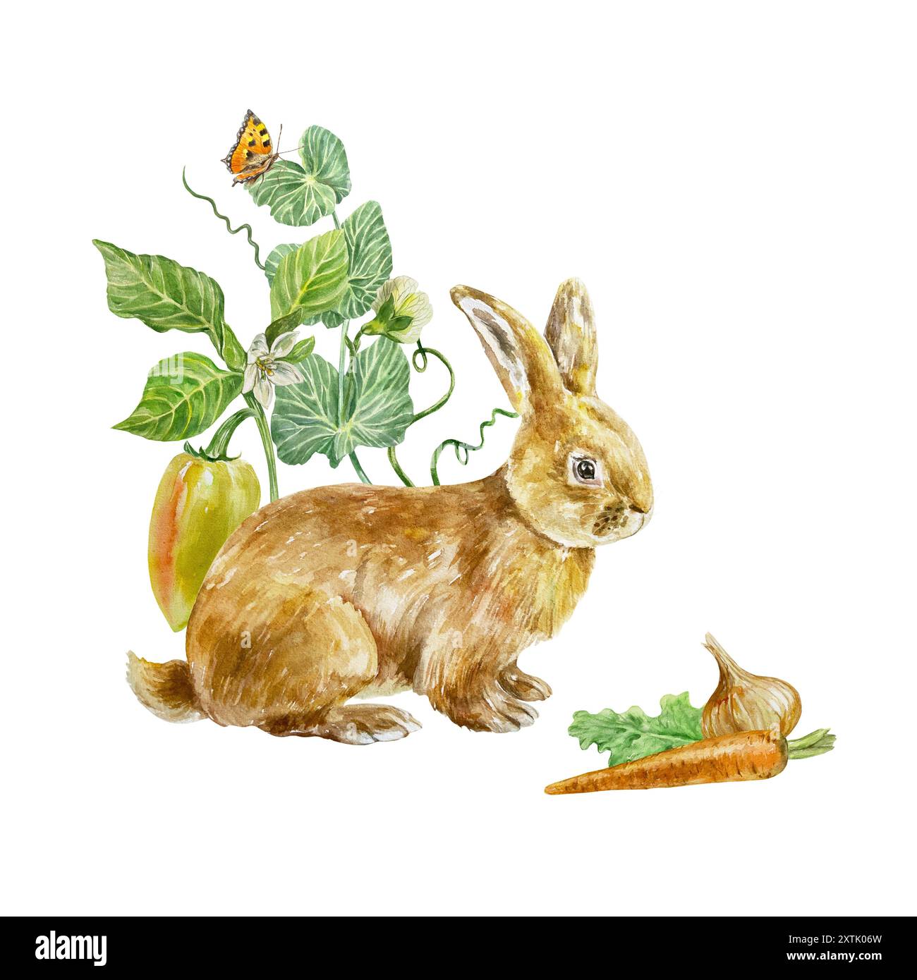 Brown rabbit sitting in vegetable garden watercolor isolated ...