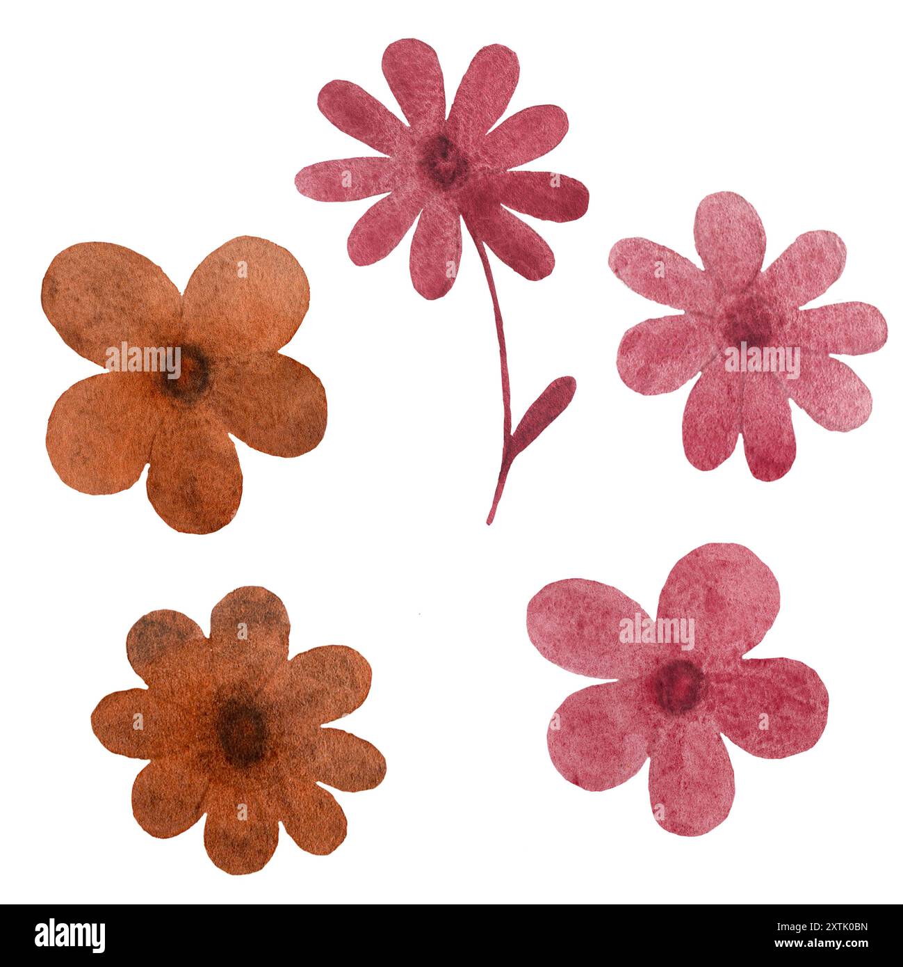 Set of five flowers isolated on white background. Pink and brown hand drawn design elements for ...
