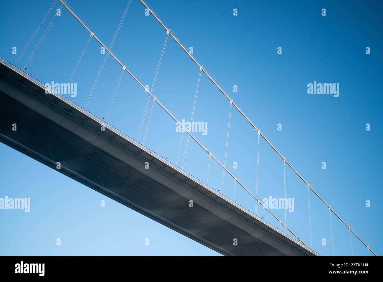 An intricate and detailed view of the Istanbul Bosphorus Bridge from ...