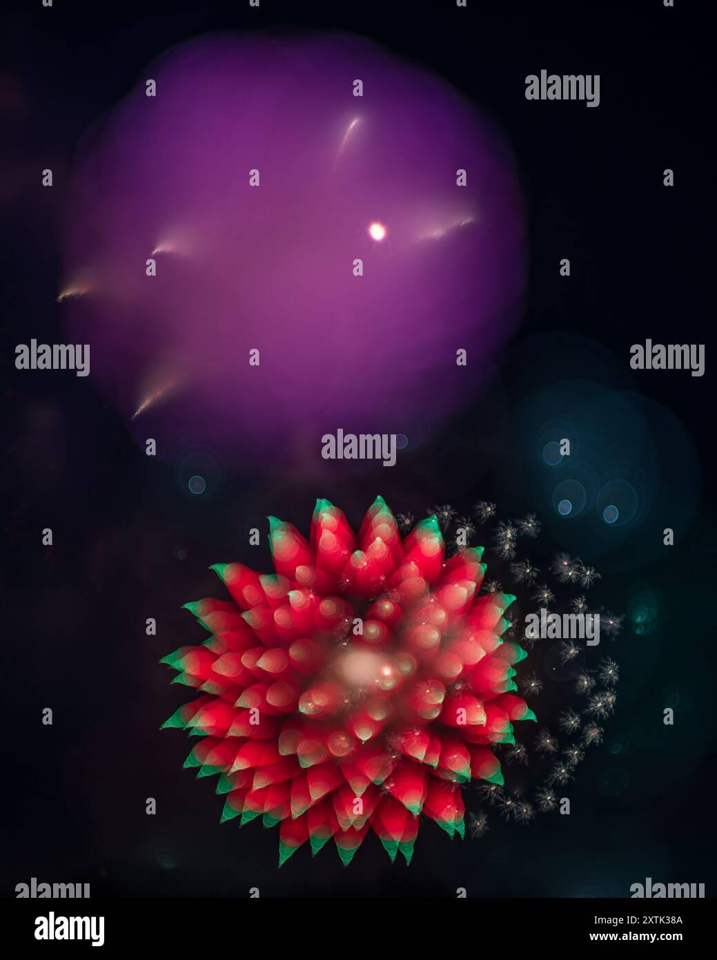 The colorful fireworks exploding in the night sky with vibrant red and ...