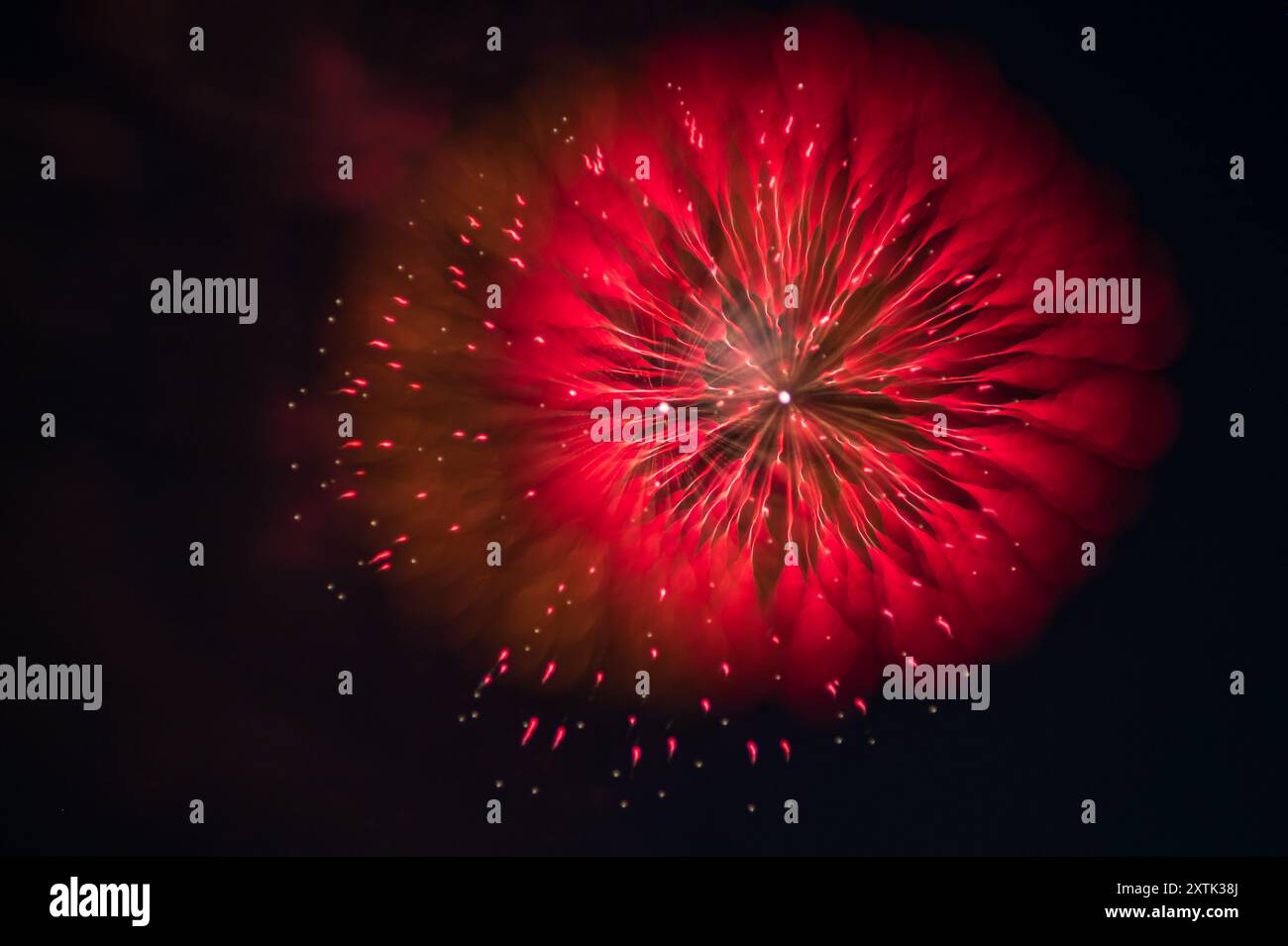 A vibrant red firework exploding in the night sky Stock Photo - Alamy