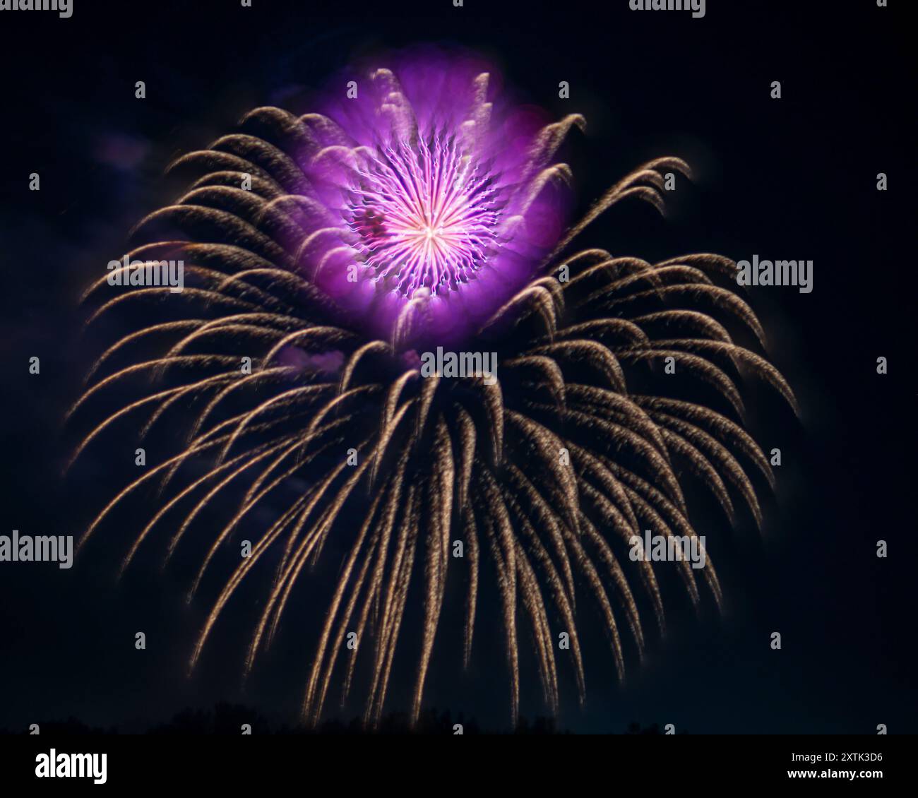 The vibrant purple and gold firework display lighting up the night sky ...