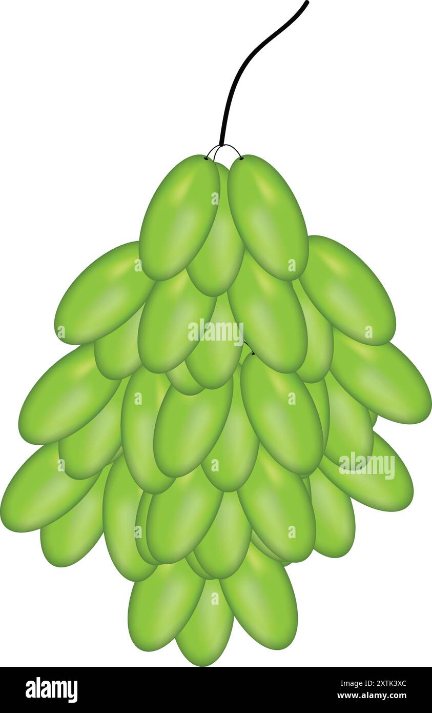 Grapes fruit purple cartoon hi-res stock photography and images - Alamy