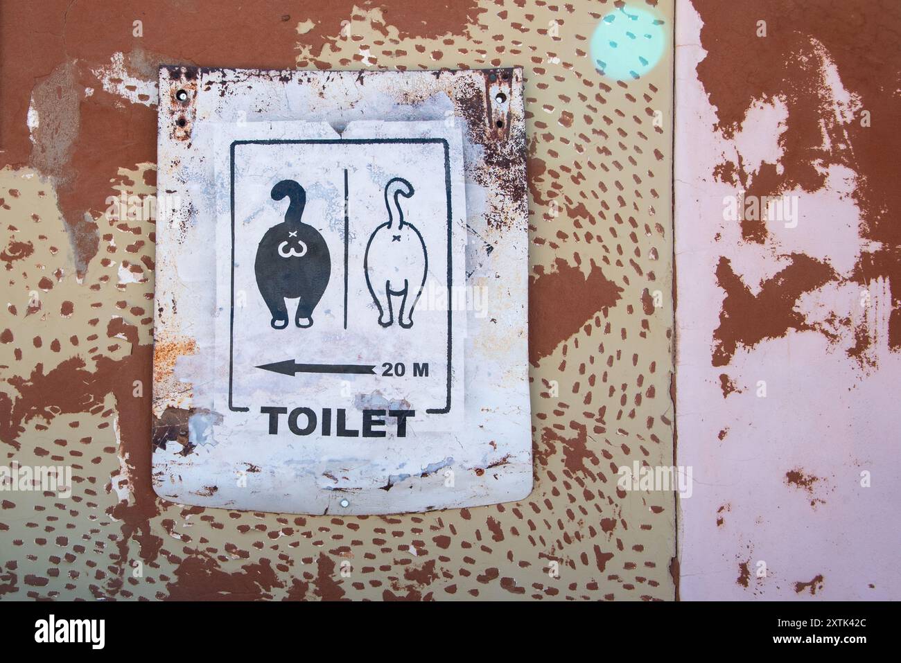 Funny bathroom sign with male and female cats. Photographed in ...