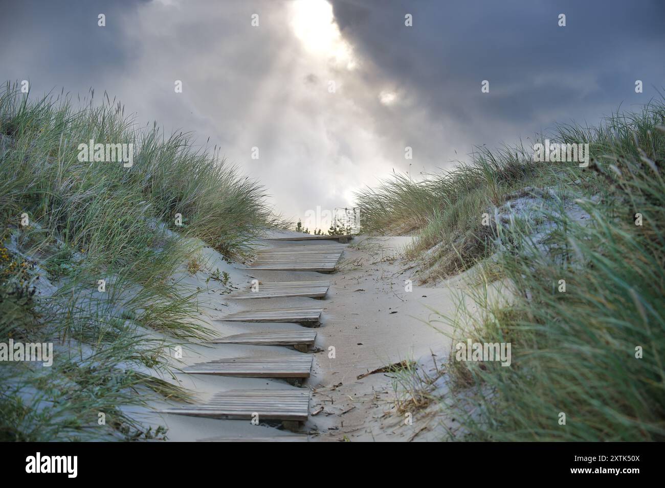Peaceful sandy beach pathway leading through dunes under a dramatic sky ...