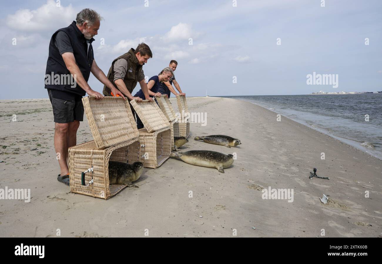 Tim fetting hi-res stock photography and images - Alamy