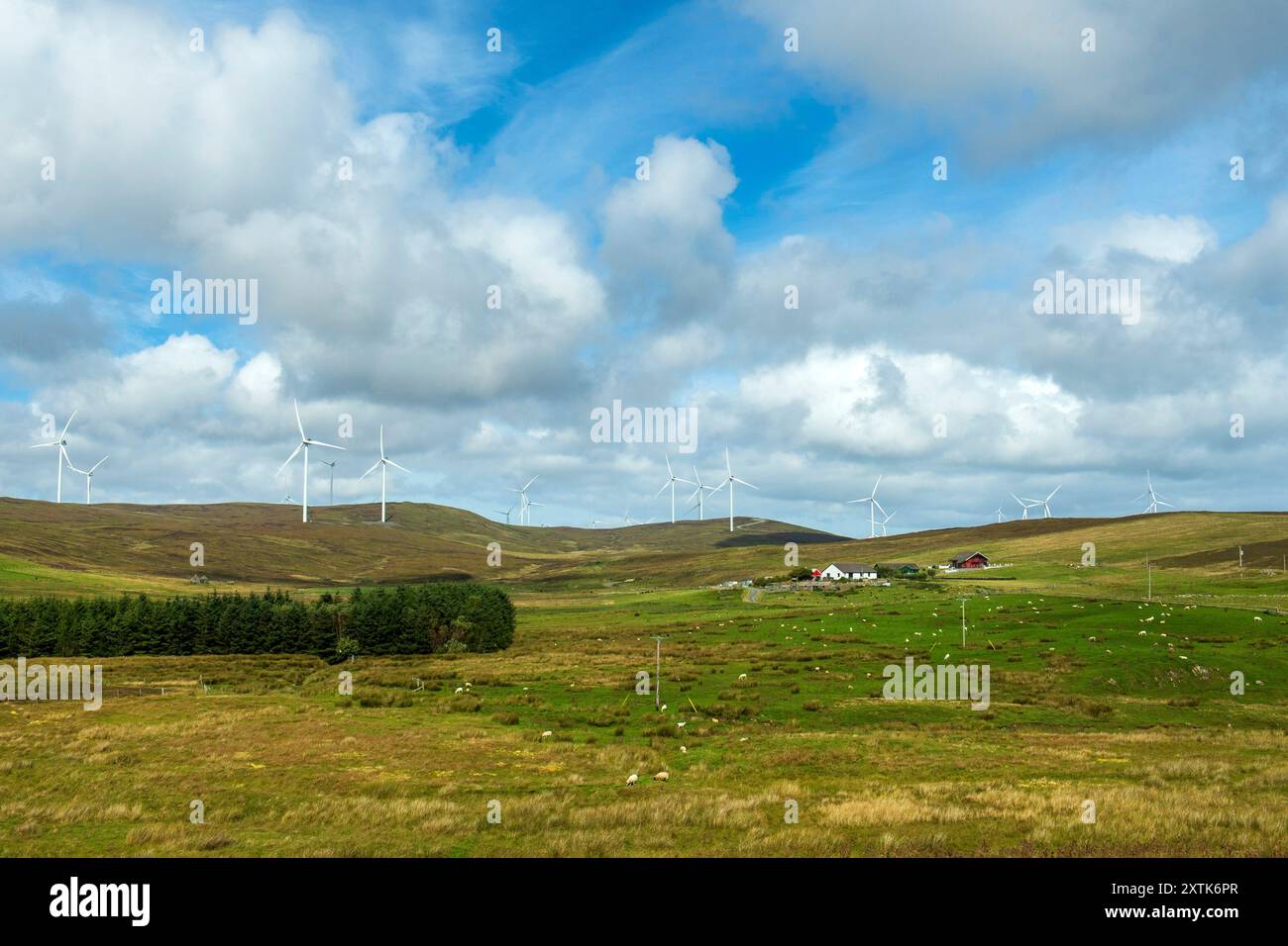 Viking Wind Farm consisting of 103 wind turbines constructed by SSE on ...