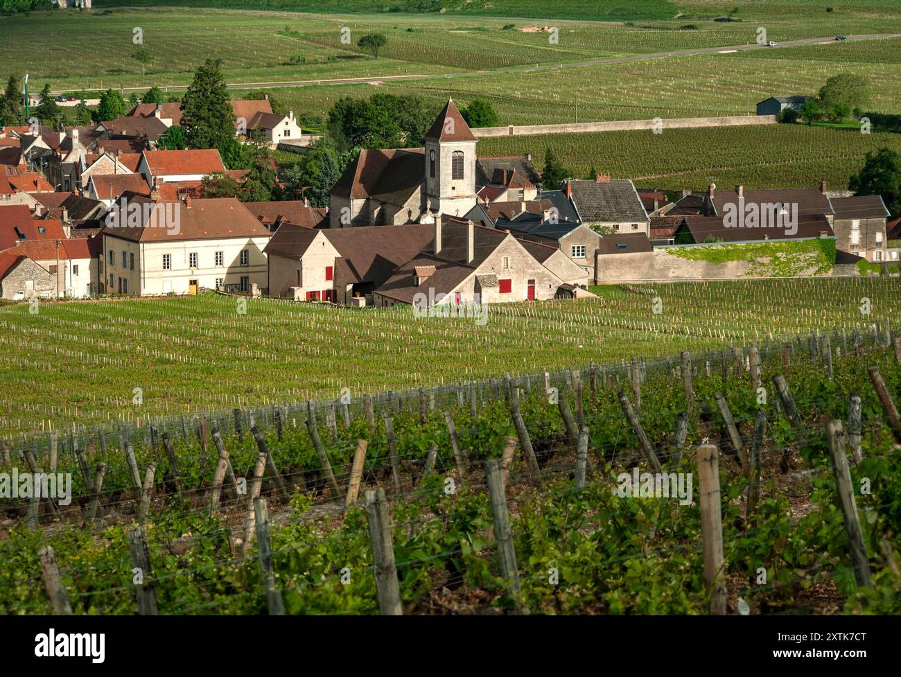 Morey st denis vineyards hi-res stock photography and images - Alamy