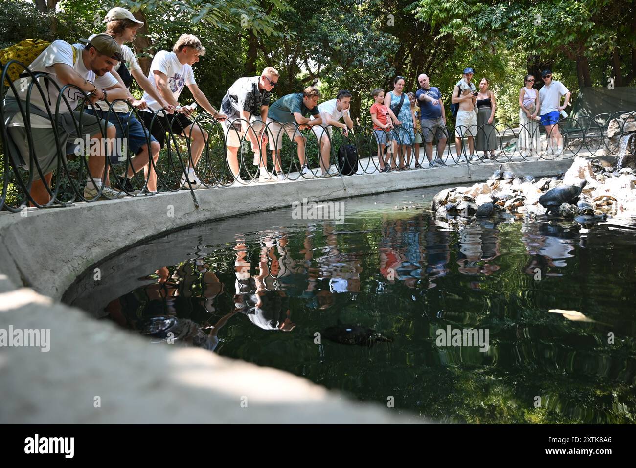 Curious visitors gather around the turtle pond under the warm summer ...