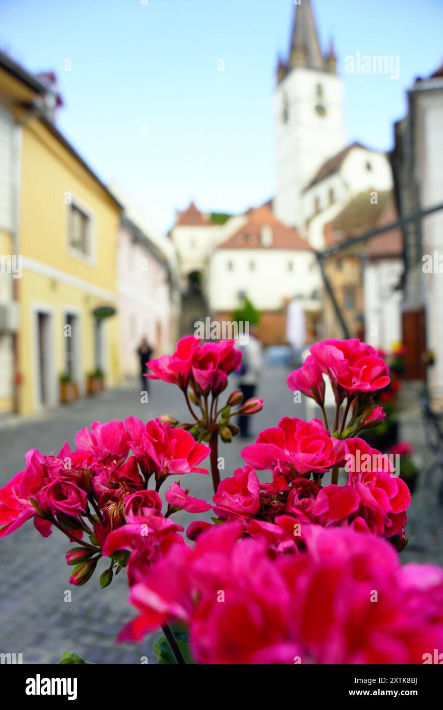 Strada Turnului, located in front of the Staircase Tower in the ...