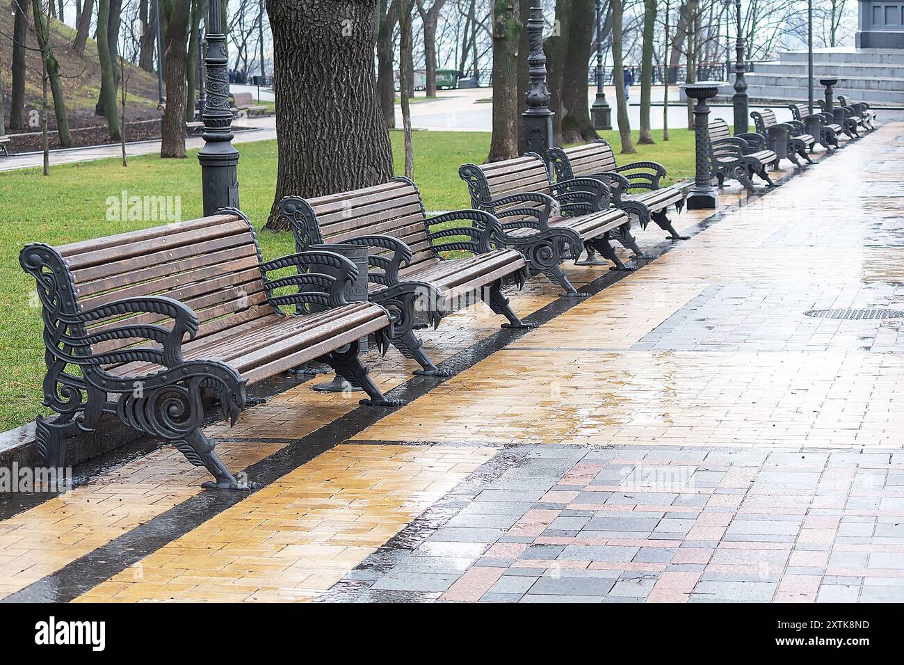 Benches in the alley in the park on a rainy day. Kyiv, Ukraine Stock ...