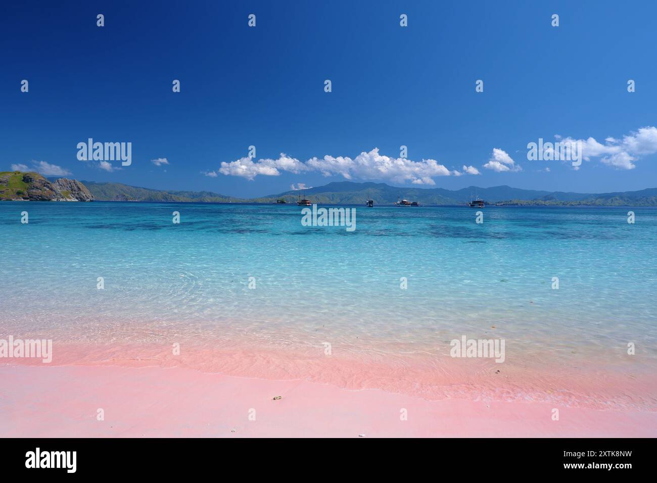 The best beach in the world; Pink Beach - Komodo Island, Indonesia ...
