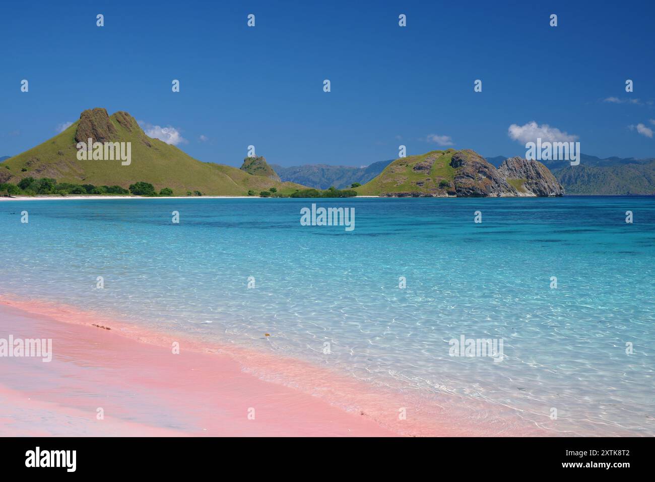 The best beach in the world; Pink Beach - Komodo Island, Indonesia ...
