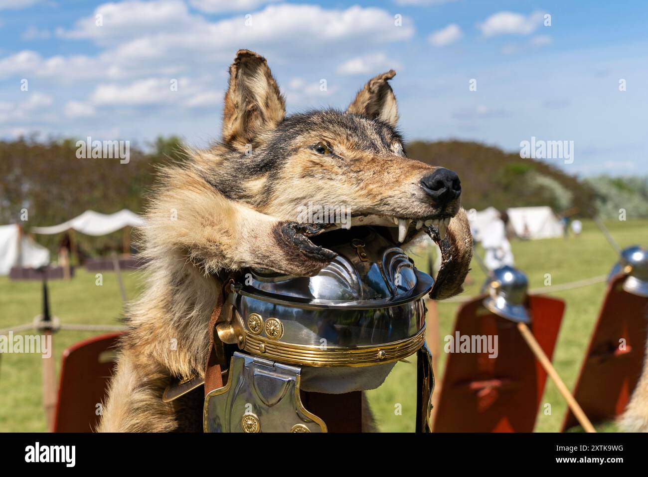 Ancient roman military insignia hi-res stock photography and images - Alamy