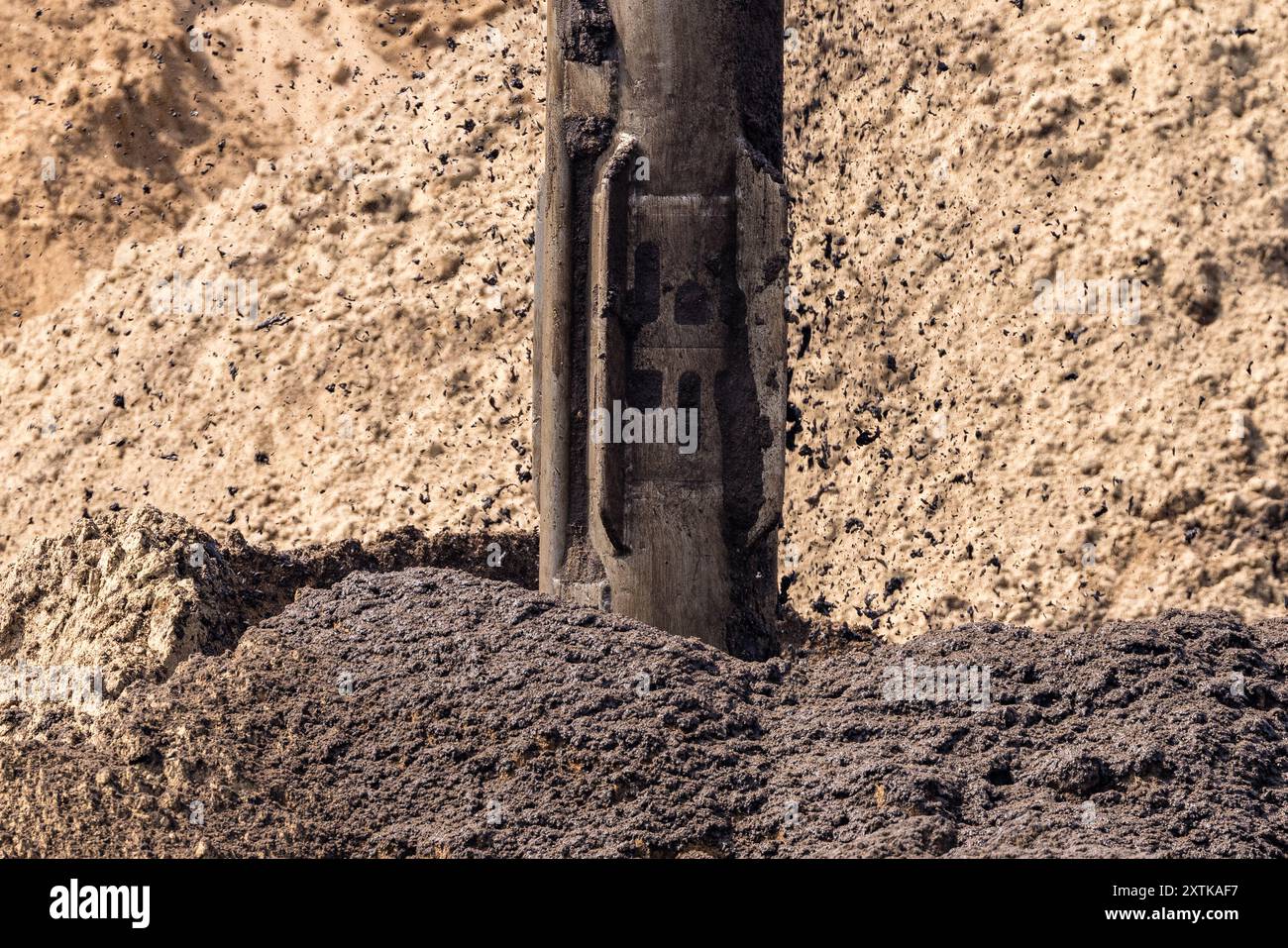 Forst Briesnig, Germany. 15th Aug, 2024. The lance of a vibro ...