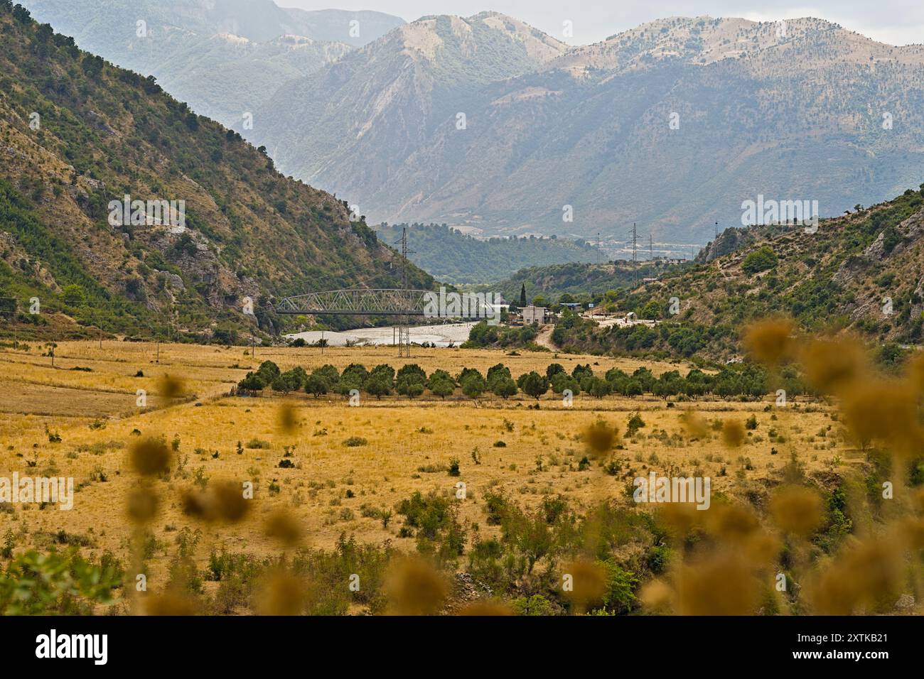 Dragoti Bridge over the Vjosa river Stock Photo - Alamy