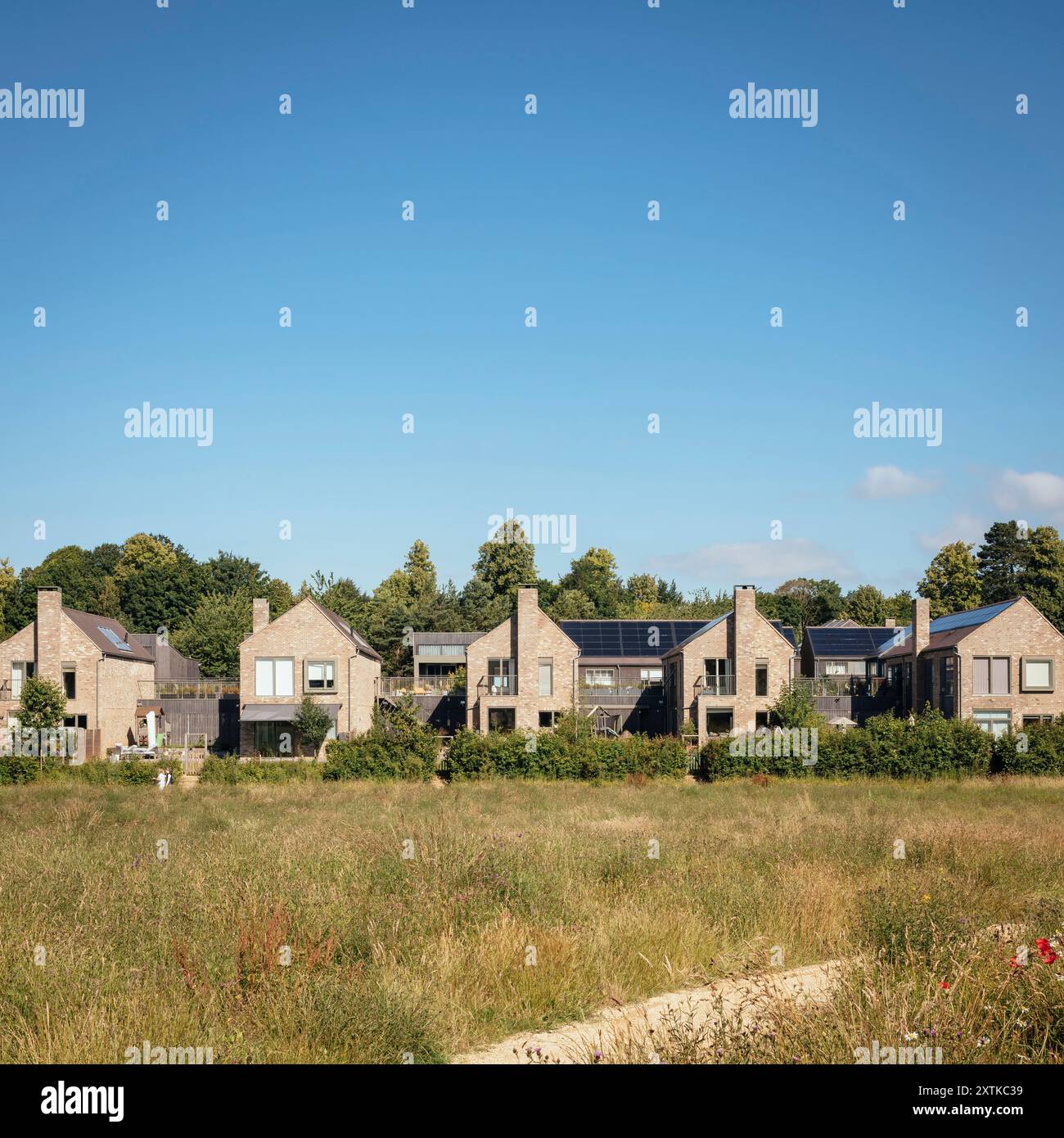 Row of houses, mid view across field with gable ends. Lovedon Fields ...