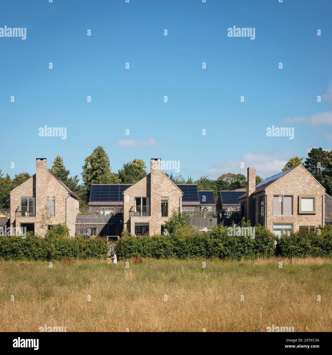 Row of houses, mid view across field with gable ends. Lovedon Fields ...