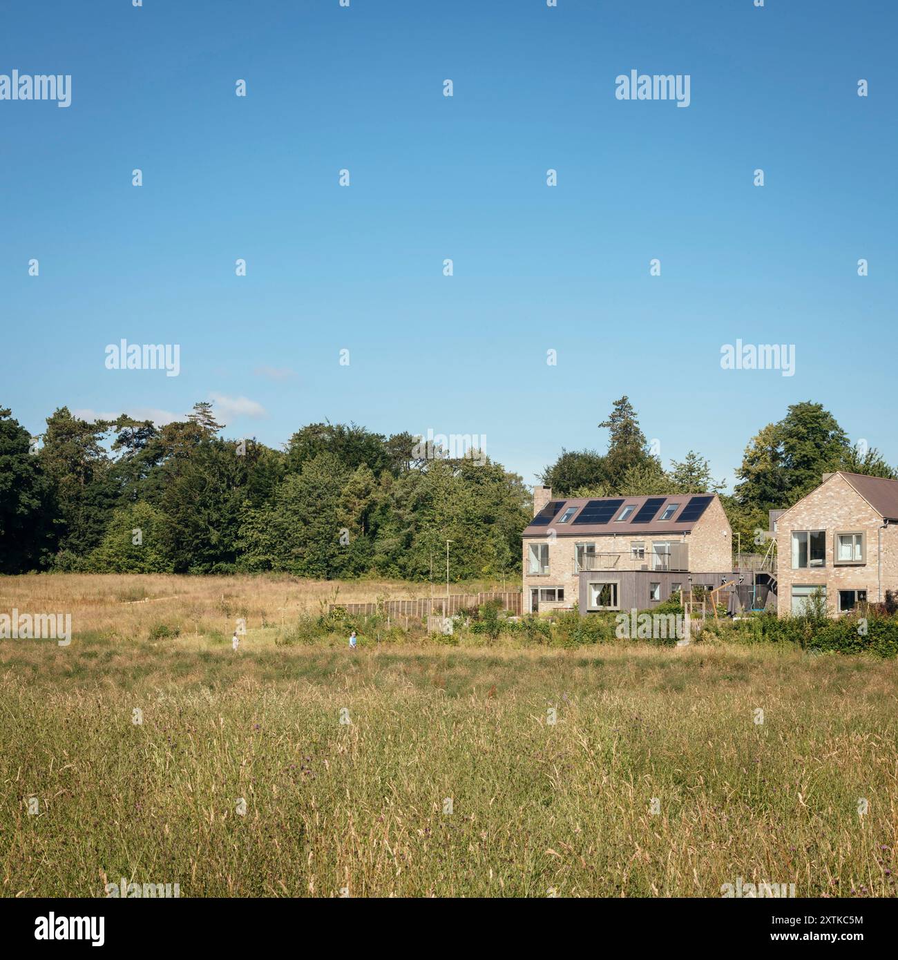 Long view across field. Lovedon Fields, Kings Worthy, United Kingdom ...